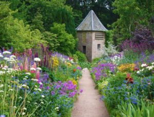 55 Natural Landscaping Ideas, Going Green to Save Money and Improve Health