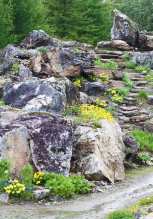 55 Natural Landscaping Ideas, Going Green to Save Money and Improve Health