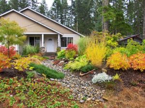 55 Natural Landscaping Ideas, Going Green to Save Money and Improve Health