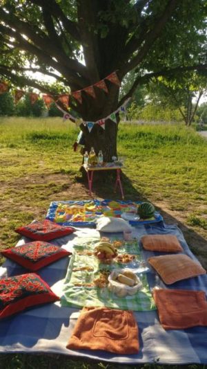 Picnic Ideas Creating Perfect Settings for Summer Outings