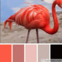 Modern Color Trends, 50 Invigorating Color Schemes Inspired by Birds