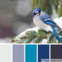 Modern Color Trends, 50 Invigorating Color Schemes Inspired by Birds