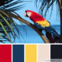 Modern Color Trends, 50 Invigorating Color Schemes Inspired by Birds