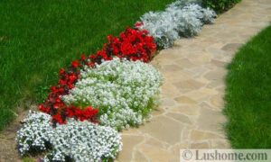 Beautiful Red and White Yard Decorations, 55 Ideas for Summer ...