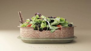 Eco-Friendly Edible Containers , Green Food Design Idea