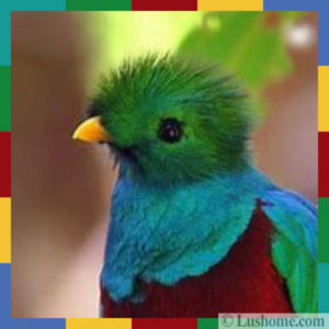 Modern Color Trends, 50 Invigorating Color Schemes Inspired by Birds