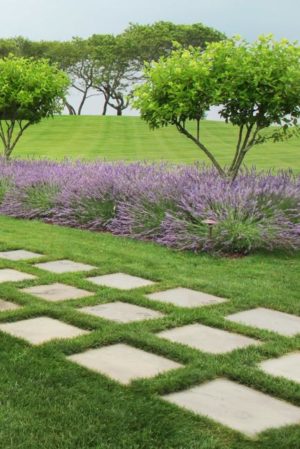 Beautiful Garden Paths and Walkways, Design Ideas with Concrete Slabs ...