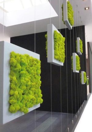 Vertical Green Designs Creating Spectacular Yard Decorations, 55 ...