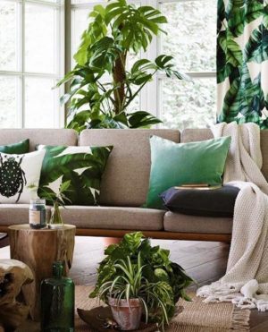 Green Leaf Patterns and Houseplants, Modern Interior Trends in Decorating