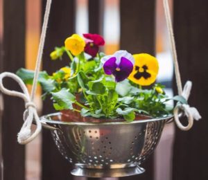 Artistic Ways to Reuse, Recycle, Repurpose Colanders, Fun DIY Home ...