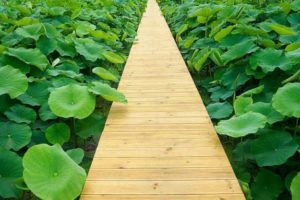 Beautiful Garden Path Ideas and Walkway Designs, Yard Landscaping Materials