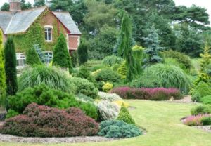 Island Bed Design Ideas Adding Interest to Yard Landscaping