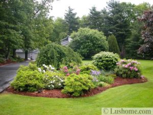 Island Bed Design Ideas Adding Interest to Yard Landscaping