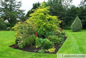 Island Bed Design Ideas Adding Interest to Yard Landscaping