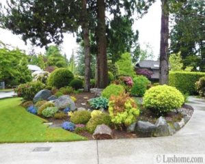 Island Bed Design Ideas Adding Interest to Yard Landscaping