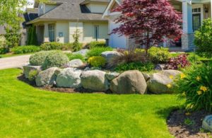 Island Bed Design Ideas Adding Interest to Yard Landscaping