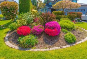 Island Bed Design Ideas Adding Interest to Yard Landscaping