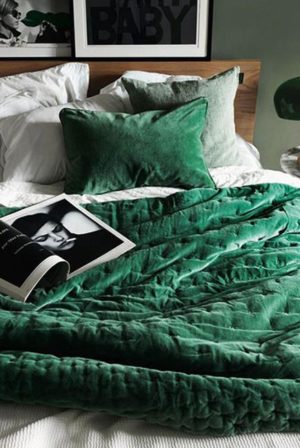 Green Color Schemes, Timelessly Modern Interior Design and Decor Choices