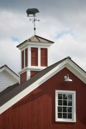 Modern Weathervanes, Original Roof Designs and Beautiful Home Decorations