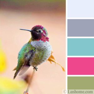 Birds Provide Fantastic Interior Design Inspirations, Color Schemes ...