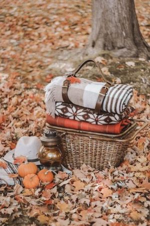 Fall Ideas for Picnics, Warm Decorating and Packing Tips