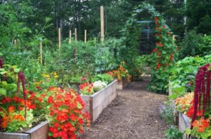 Lovely Garden Path Designs, Inspiring Backyard Landscaping Ideas