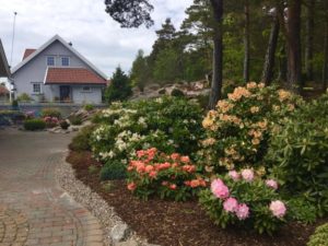 Lovely Garden Path Designs, Inspiring Backyard Landscaping Ideas