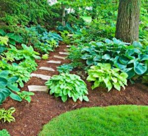 Lovely Garden Path Designs, Inspiring Backyard Landscaping Ideas