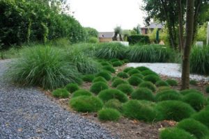 Lovely Garden Path Designs, Inspiring Backyard Landscaping Ideas