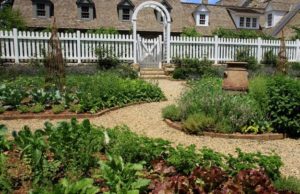 Lovely Garden Path Designs, Inspiring Backyard Landscaping Ideas