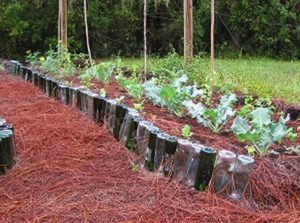 Lovely Garden Path Designs, Inspiring Backyard Landscaping Ideas