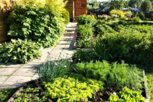 Lovely Garden Path Designs, Inspiring Backyard Landscaping Ideas