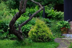 Lovely Garden Path Designs, Inspiring Backyard Landscaping Ideas