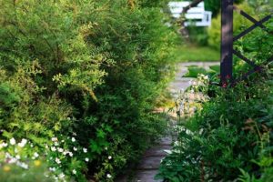 Lovely Garden Path Designs, Inspiring Backyard Landscaping Ideas