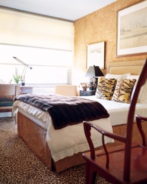 Modern Interior Decoration Patterns, Inviting Tigers into Homes