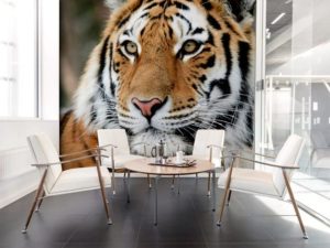 Modern Interior Decoration Patterns, Inviting Tigers into Homes