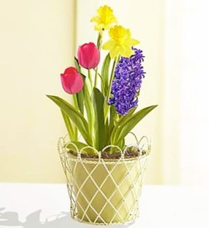 How to Create Spring Flower Arrangements, Table Centerpieces, Unique Gifts