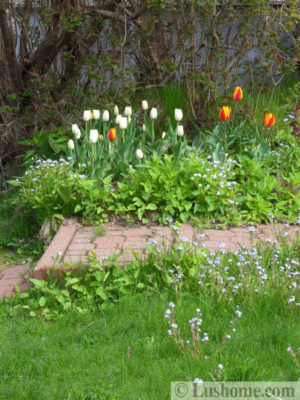 How to Design Early Spring Flower Beds, Beautiful Yard Landscaping Ideas