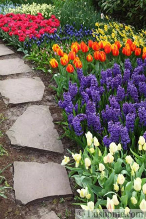 How to Design Early Spring Flower Beds, Beautiful Yard Landscaping Ideas