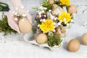 Beautiful Floral Arrangements in Eggshells, Easter Decorations and ...