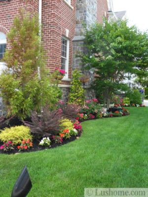 How to Grow Lush Lawns, Beautiful Yard Landscaping Ideas
