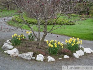 Spring Flowers Wake Up Gardens and Inspire Beautiful Landscaping Ideas