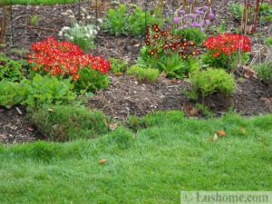 Spring Flowers Wake Up Gardens and Inspire Beautiful Landscaping Ideas