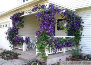 55 Beautiful Garden Decorations and Spring Yard Landscaping Ideas to ...