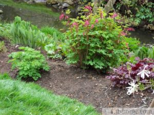 First Greenery and Beautiful Flowers in Spring Gardens, Yard ...