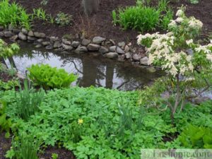 First Greenery and Beautiful Flowers in Spring Gardens, Yard ...