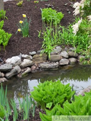 First Greenery and Beautiful Flowers in Spring Gardens, Yard ...