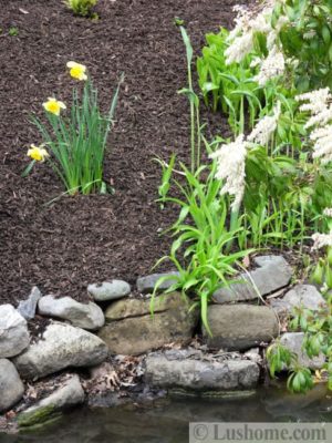 First Greenery and Beautiful Flowers in Spring Gardens, Yard ...