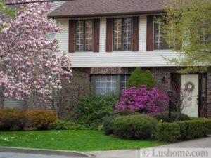 First Greenery and Beautiful Flowers in Spring Gardens, Yard ...