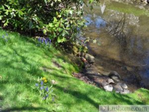 First Greenery and Beautiful Flowers in Spring Gardens, Yard ...